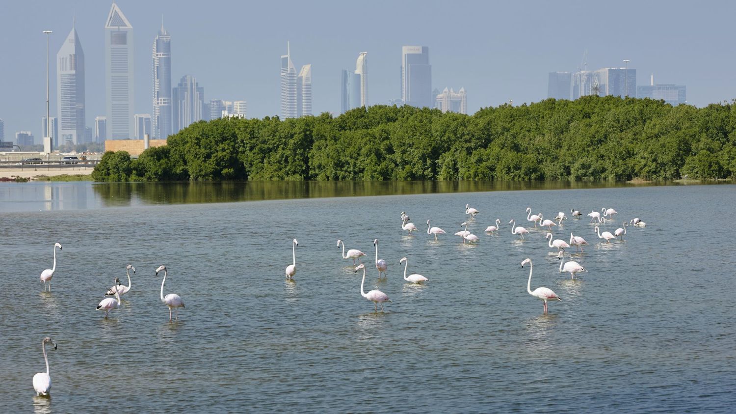 Ras Al Khor | Emirates.Estate