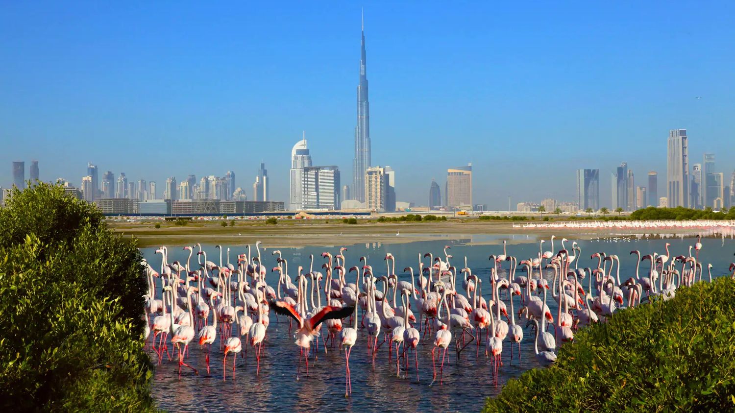 Ras Al Khor | Emirates.Estate