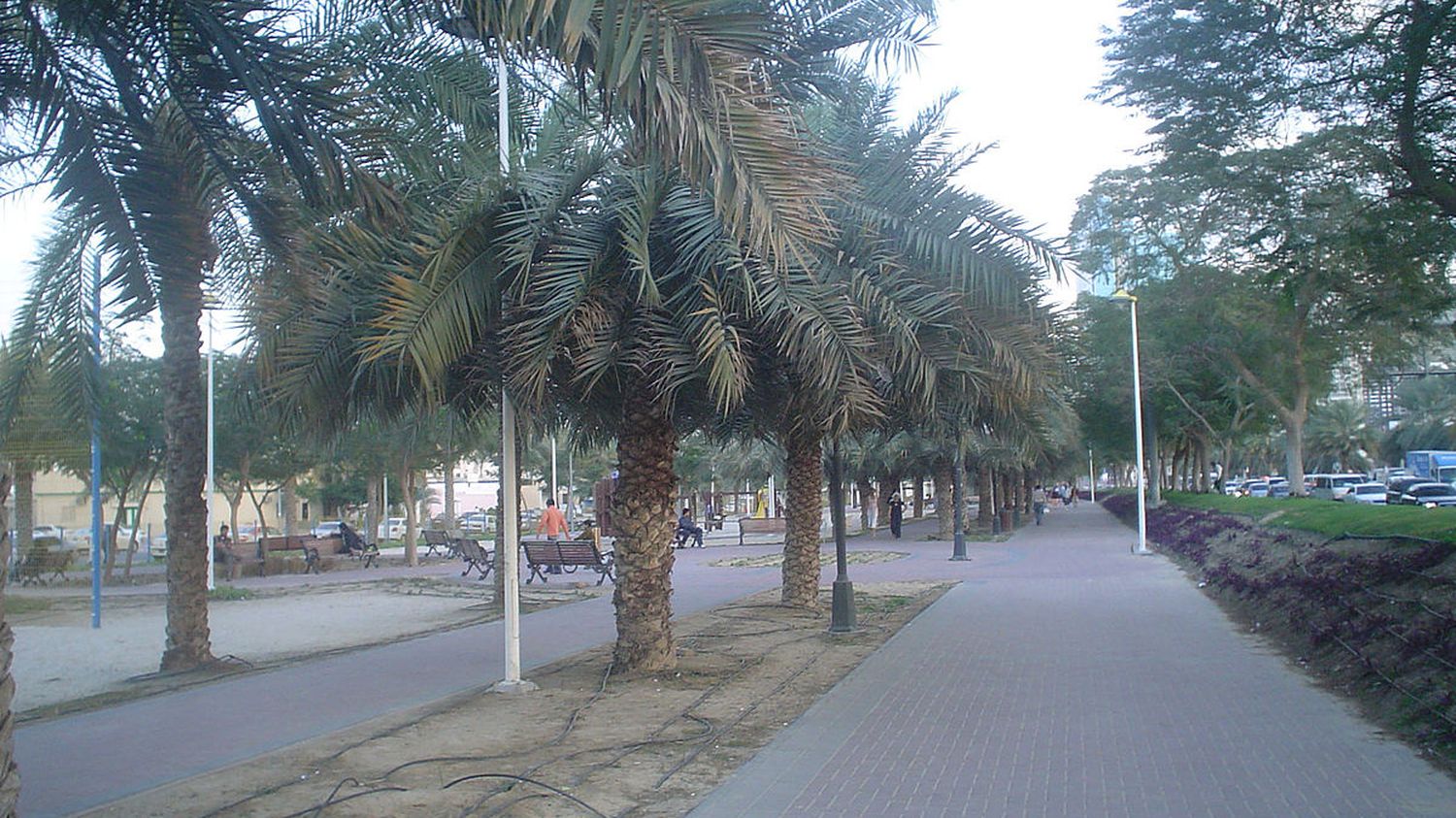 Al Jafiliya: lifestyle, property, infrastructure & attractions ...