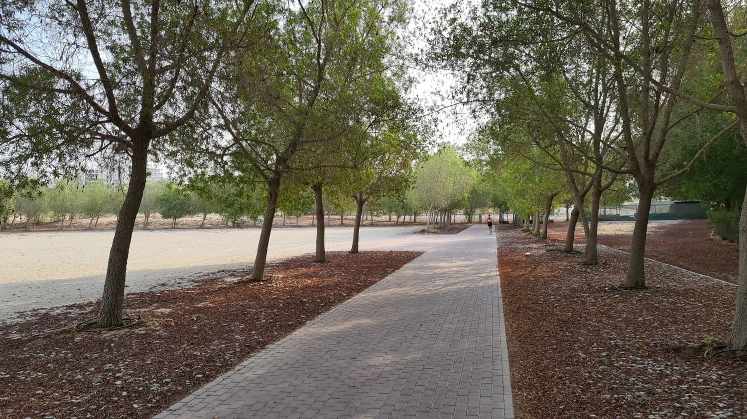 Remraam: lifestyle, property, infrastructure & attractions | Emirates ...